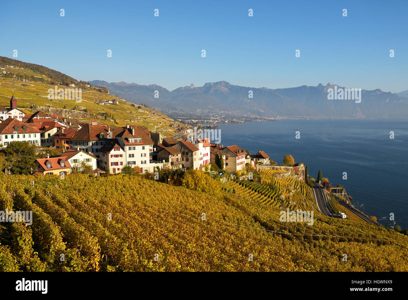 Vineyards in autumn, Lake Geneva and winegrowing village of Rivaz ...