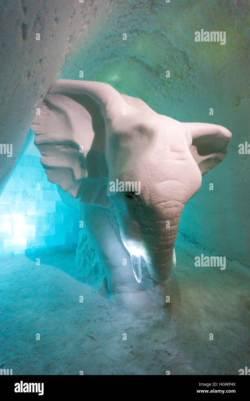 Elephant room hi-res stock photography and images - Alamy