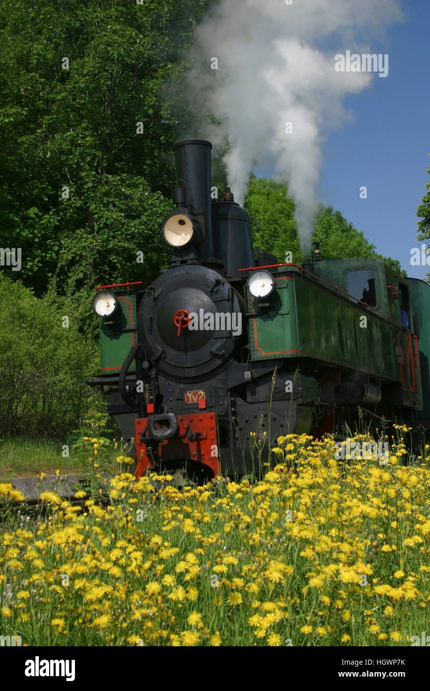 Steam locomotive, Austria, Lower Austria, Mostviertle Region Stock ...