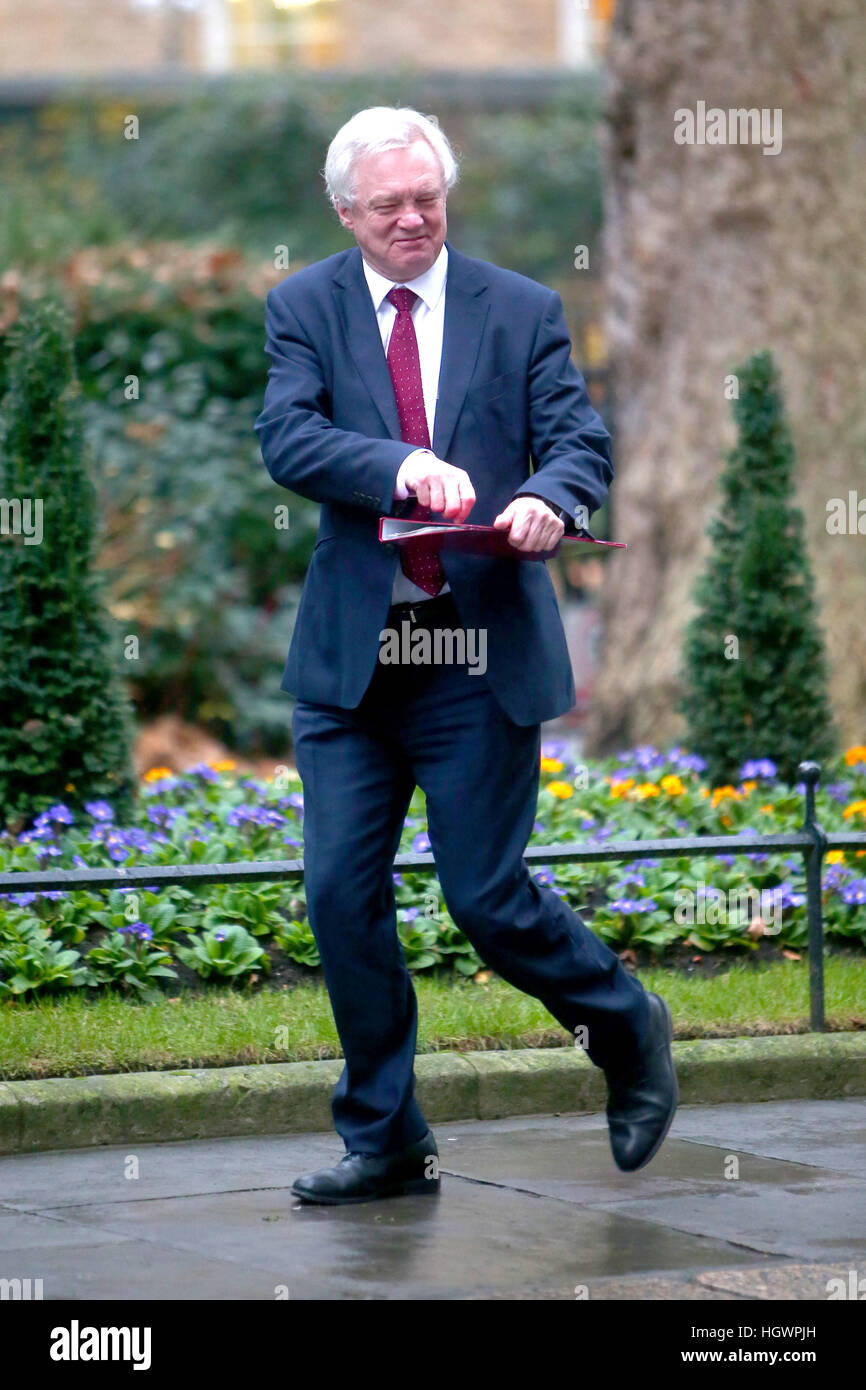 David Davis, Secretary of State for Exiting the European Union ...