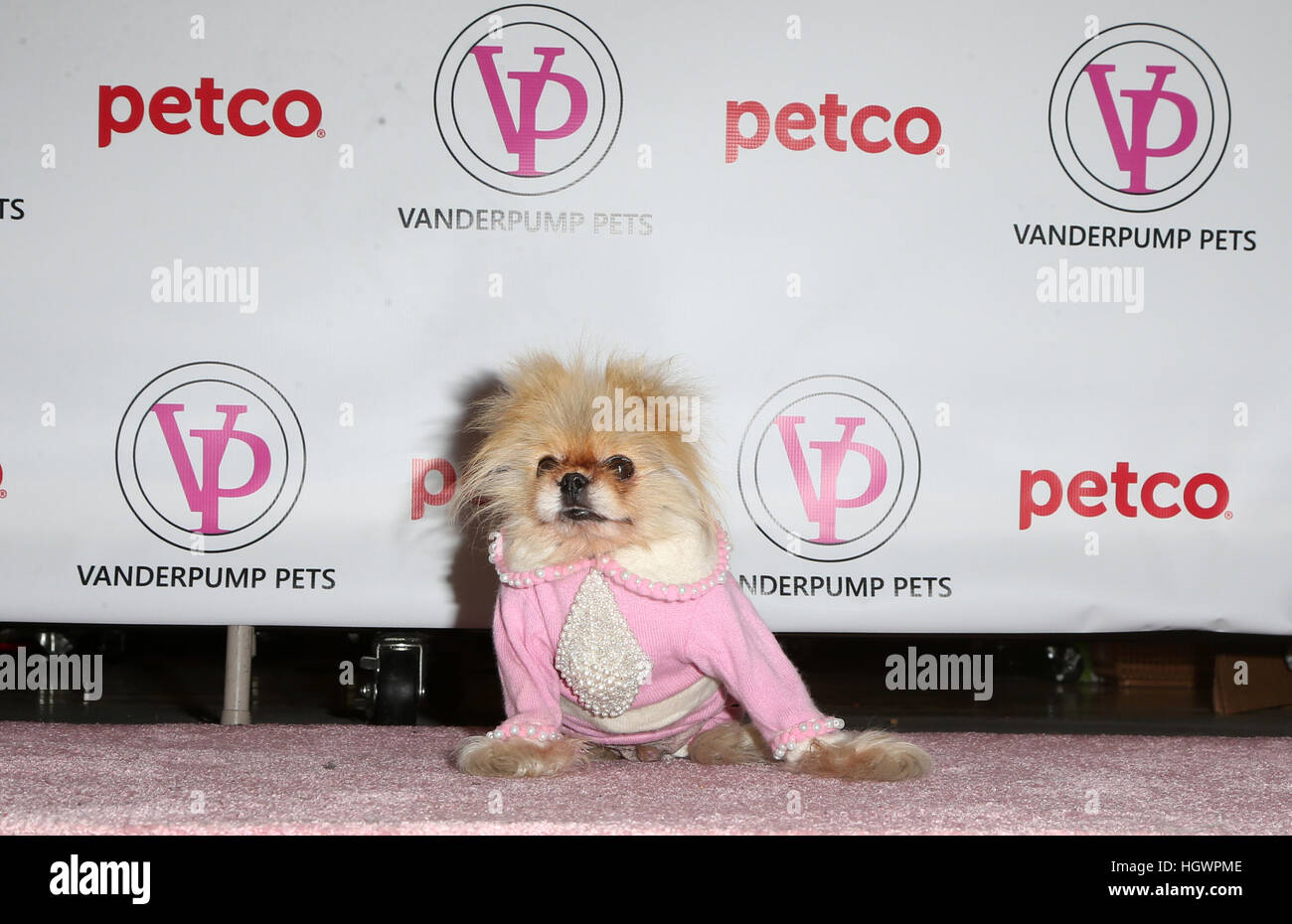 Product launch; Vanderpump Pets, founded by Lisa Vanderpump Featuring ...