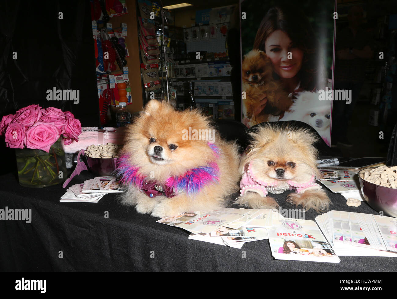Product launch; Vanderpump Pets, founded by Lisa Vanderpump Featuring ...