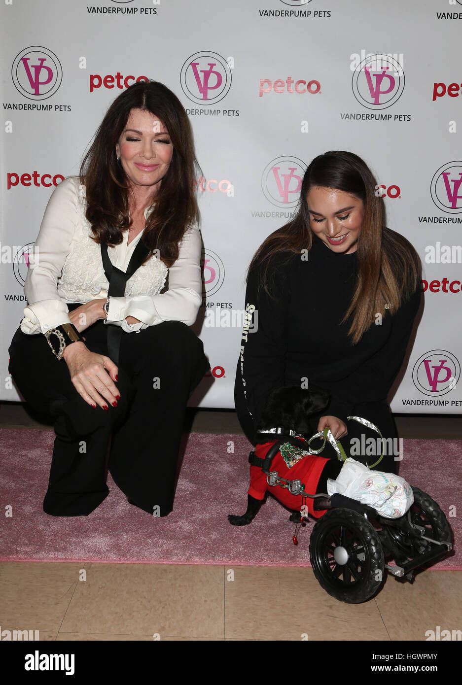Product launch; Vanderpump Pets, founded by Lisa Vanderpump Featuring ...