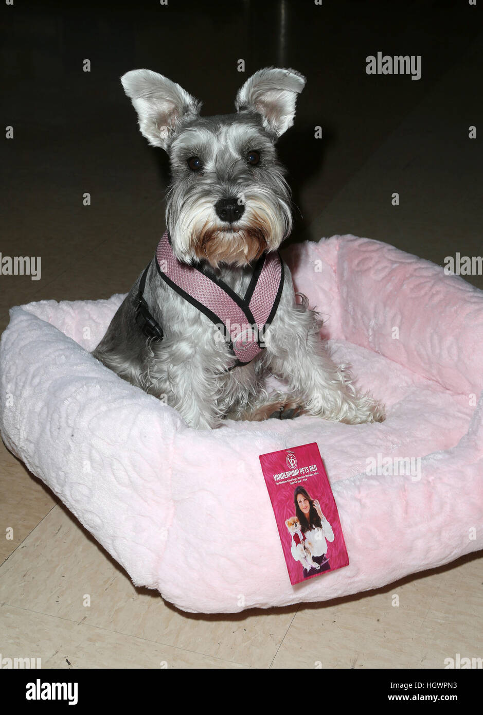 Product launch; Vanderpump Pets, founded by Lisa Vanderpump Featuring ...