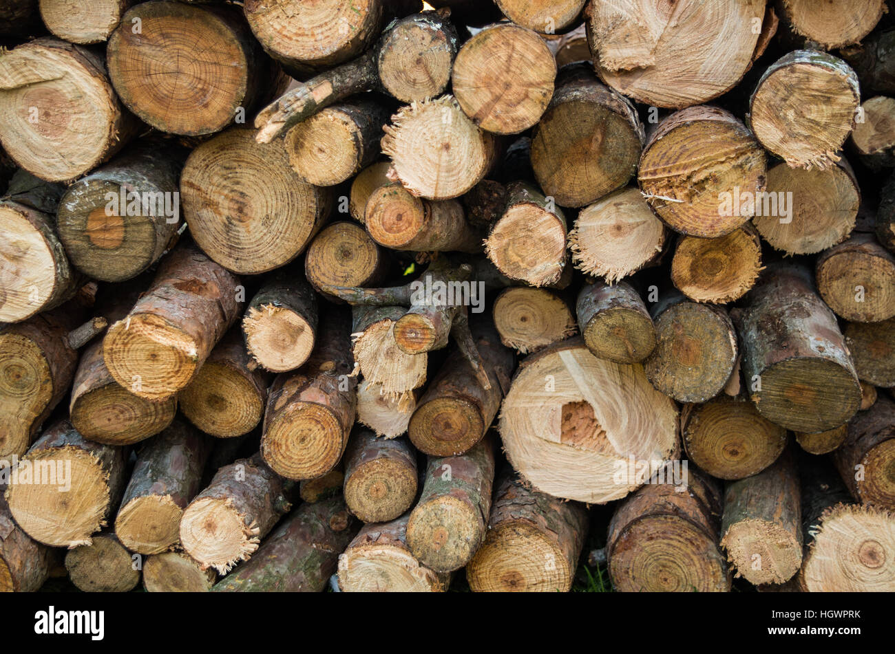 fron view of a pile of chopped wood Stock Photo - Alamy