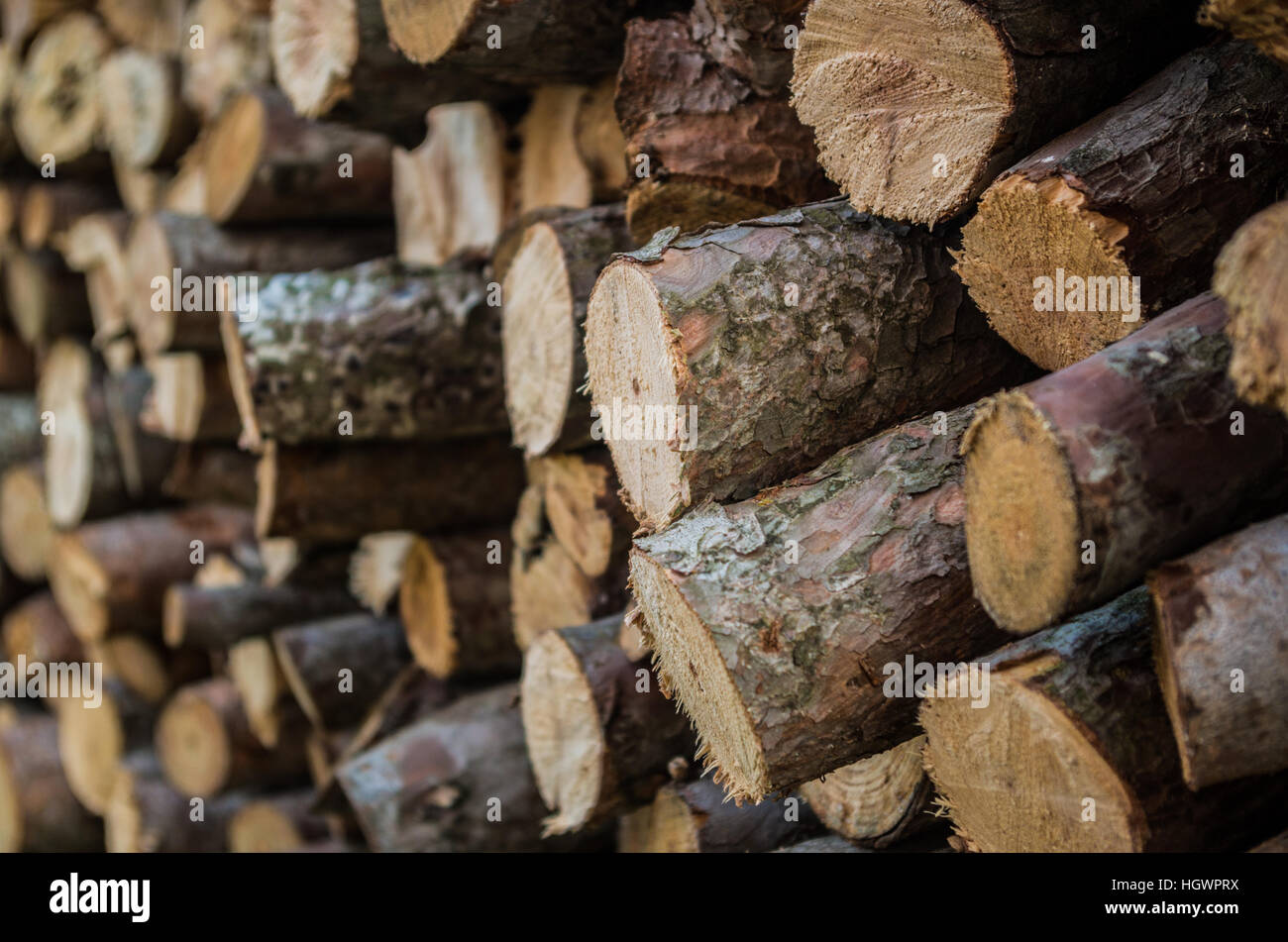 pile of chopped wood Stock Photo - Alamy