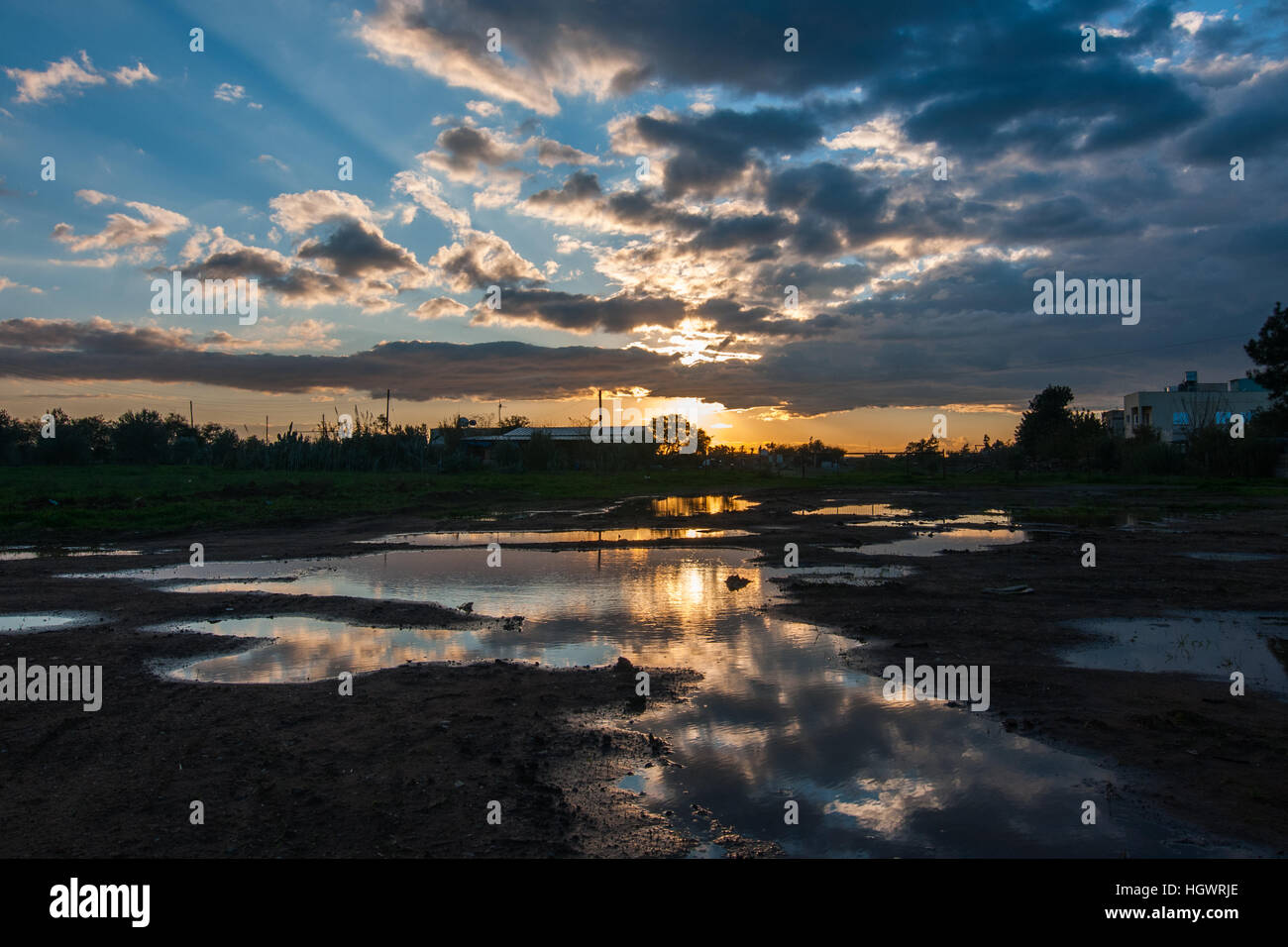 Ecological pond hi-res stock photography and images - Alamy