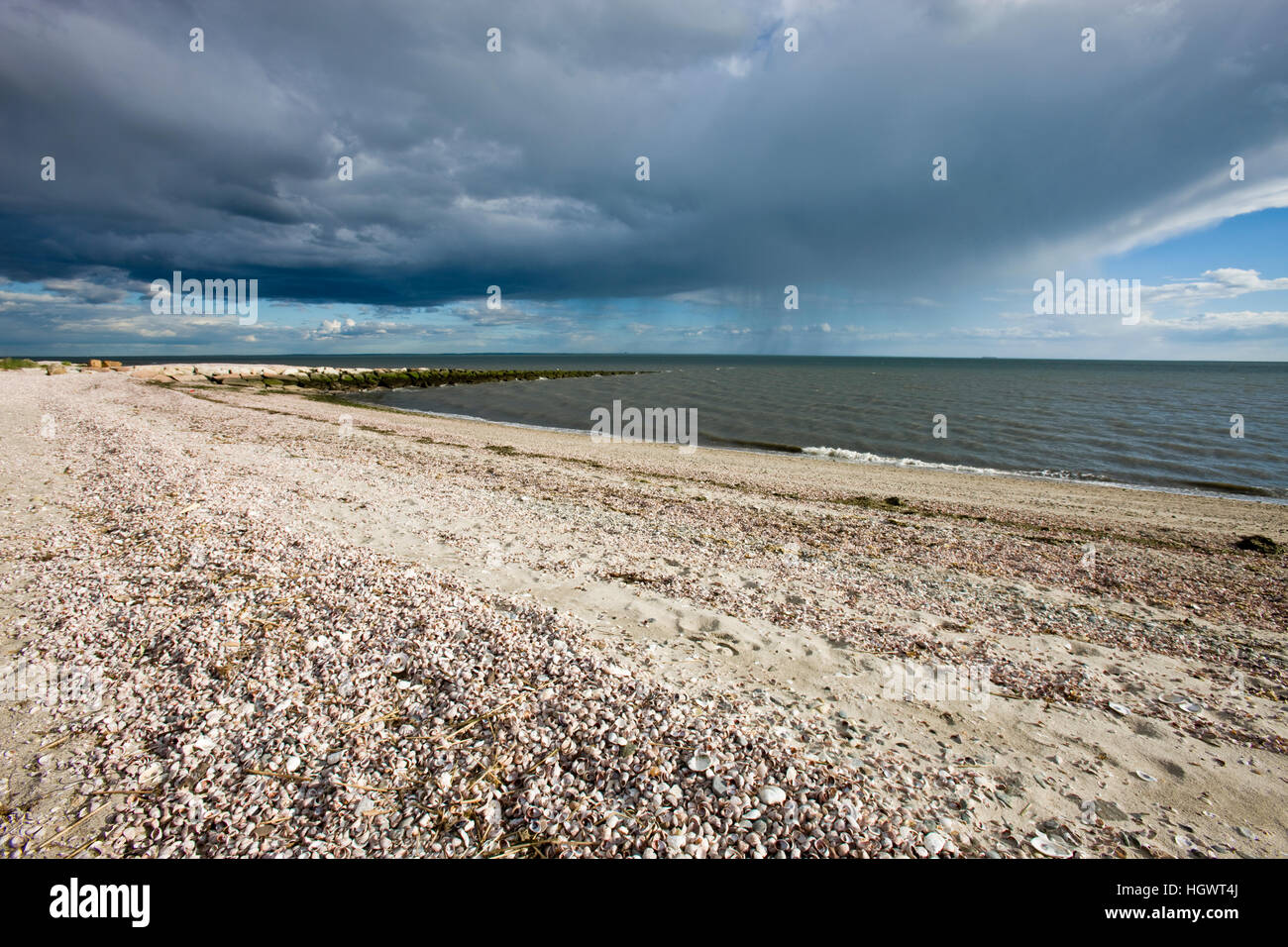 Rainshowers in the distance as seen from shell-covered Long Beach in ...