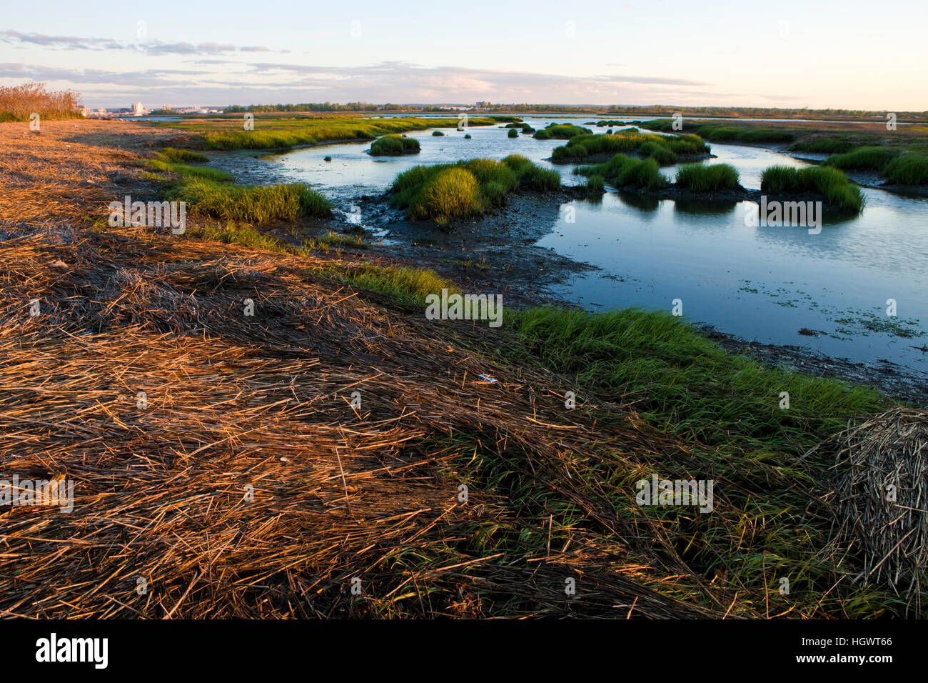 The salt marsh side of Long Beach in Stratford, Connecticut. This body ...