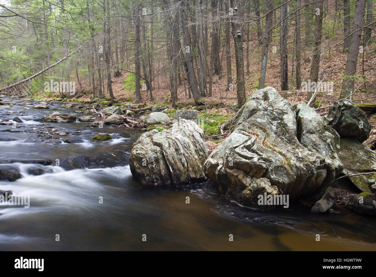 Pine Brook as it flows through the Nature Conservancy's Johnson ...