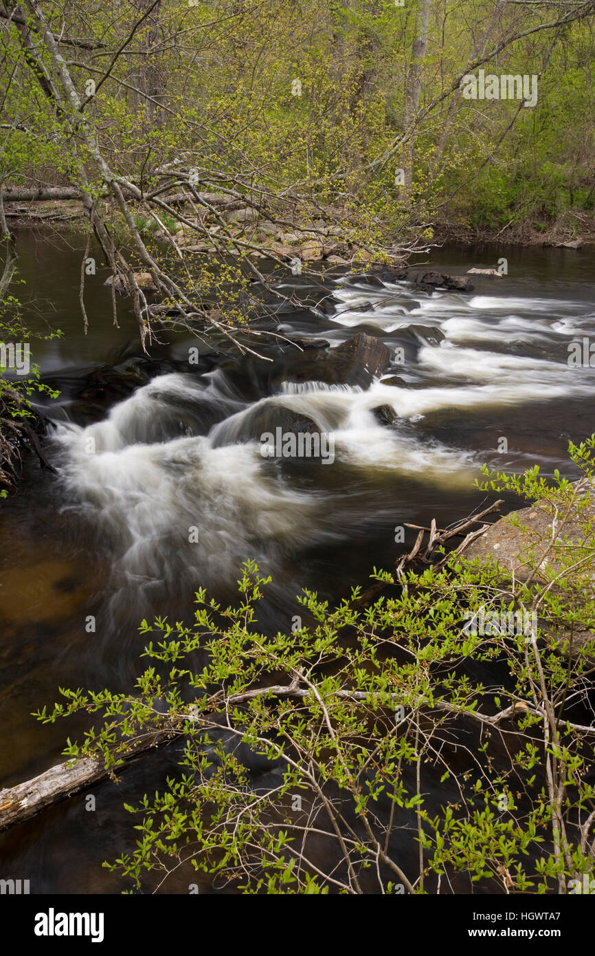 Spring on the Eight Mile River at the Nature Conservancy's Pleasant ...
