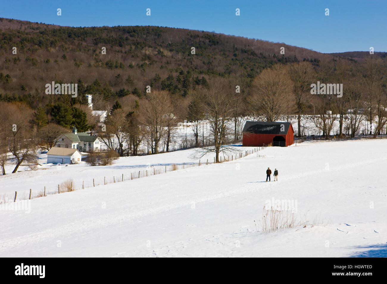 A couple walks through a snowy field at the Tyringham Cobble ...