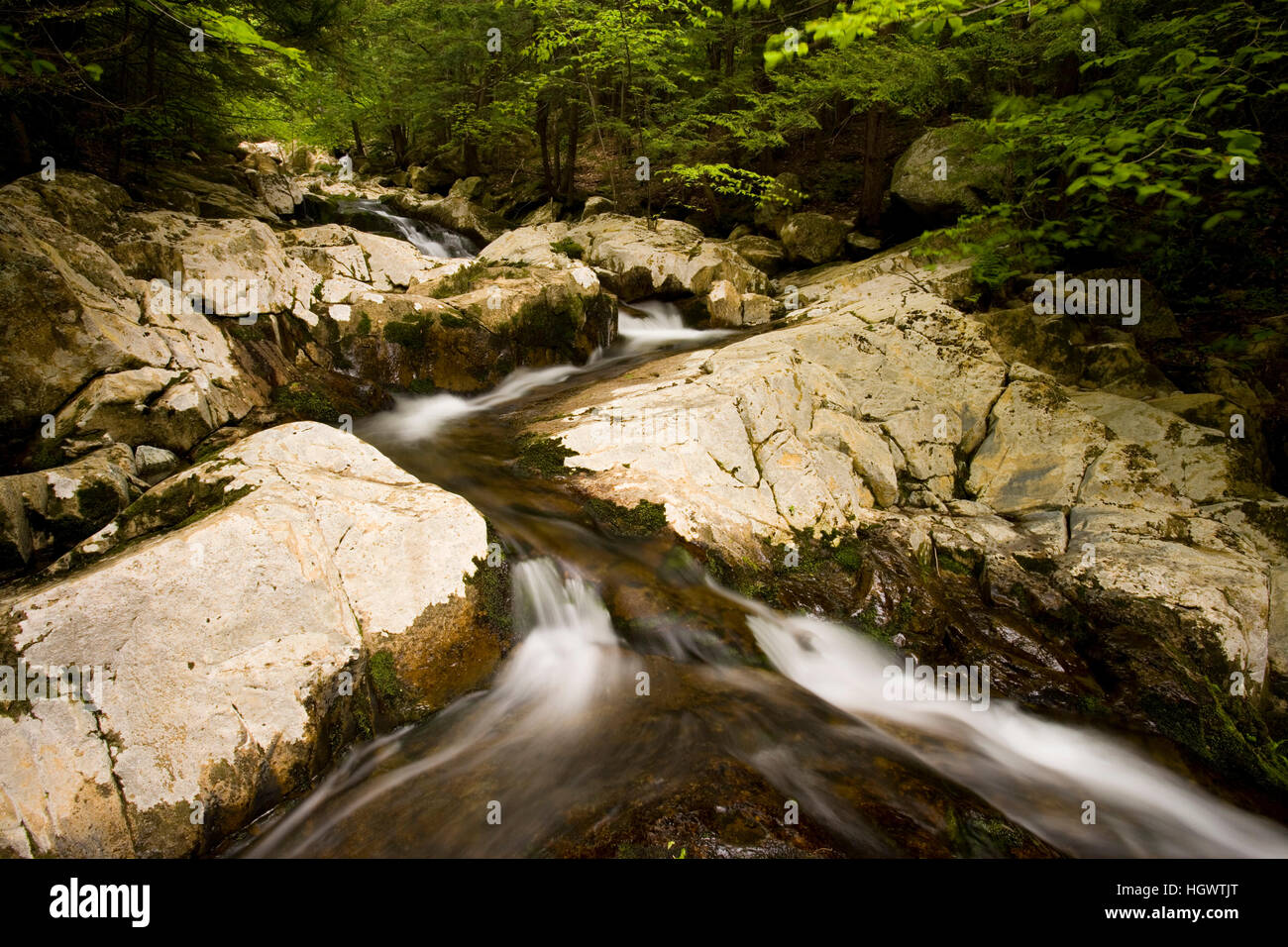 A small tributary of the West branch of the Westfield River in Chester ...