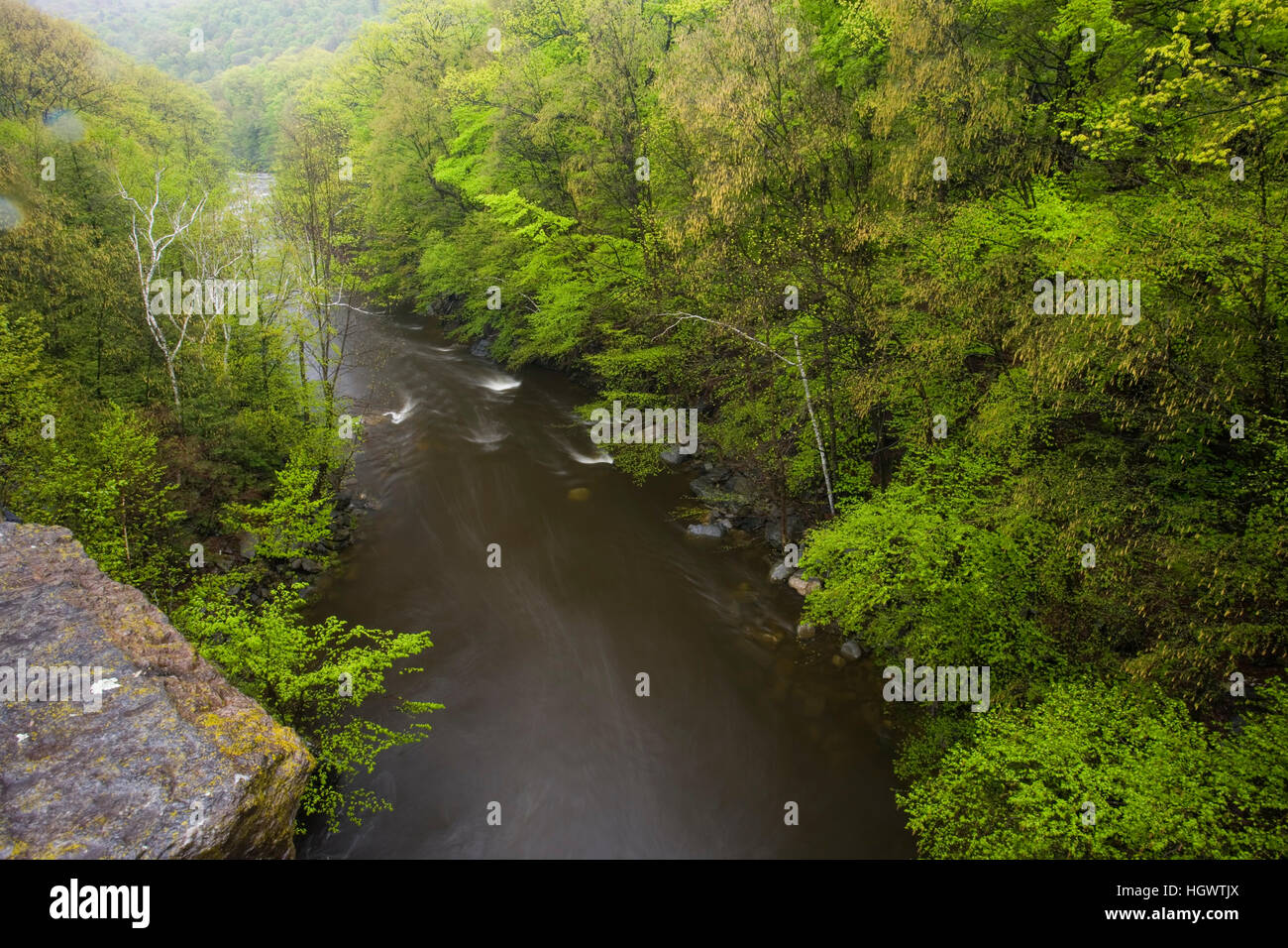 Spring along the West Branch of the Westfield River, Chester ...