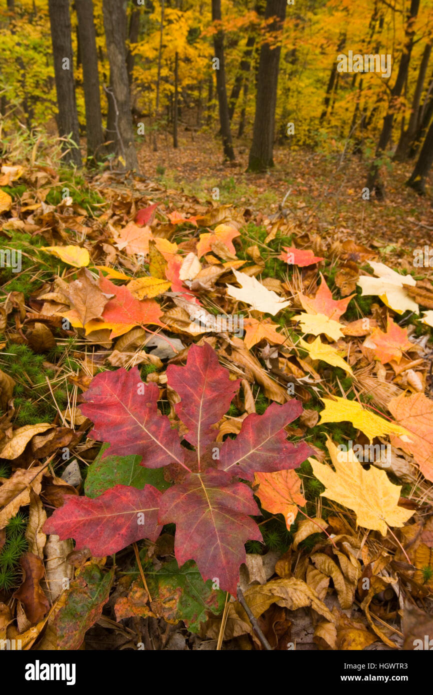 Massachusetts mount tom state reservation hi-res stock photography and ...