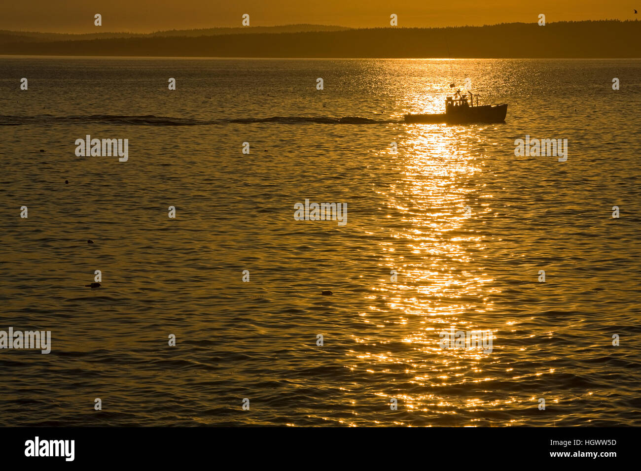 A lobster boat in Frenchman Bay as seen from Dorr Point in Maine's ...