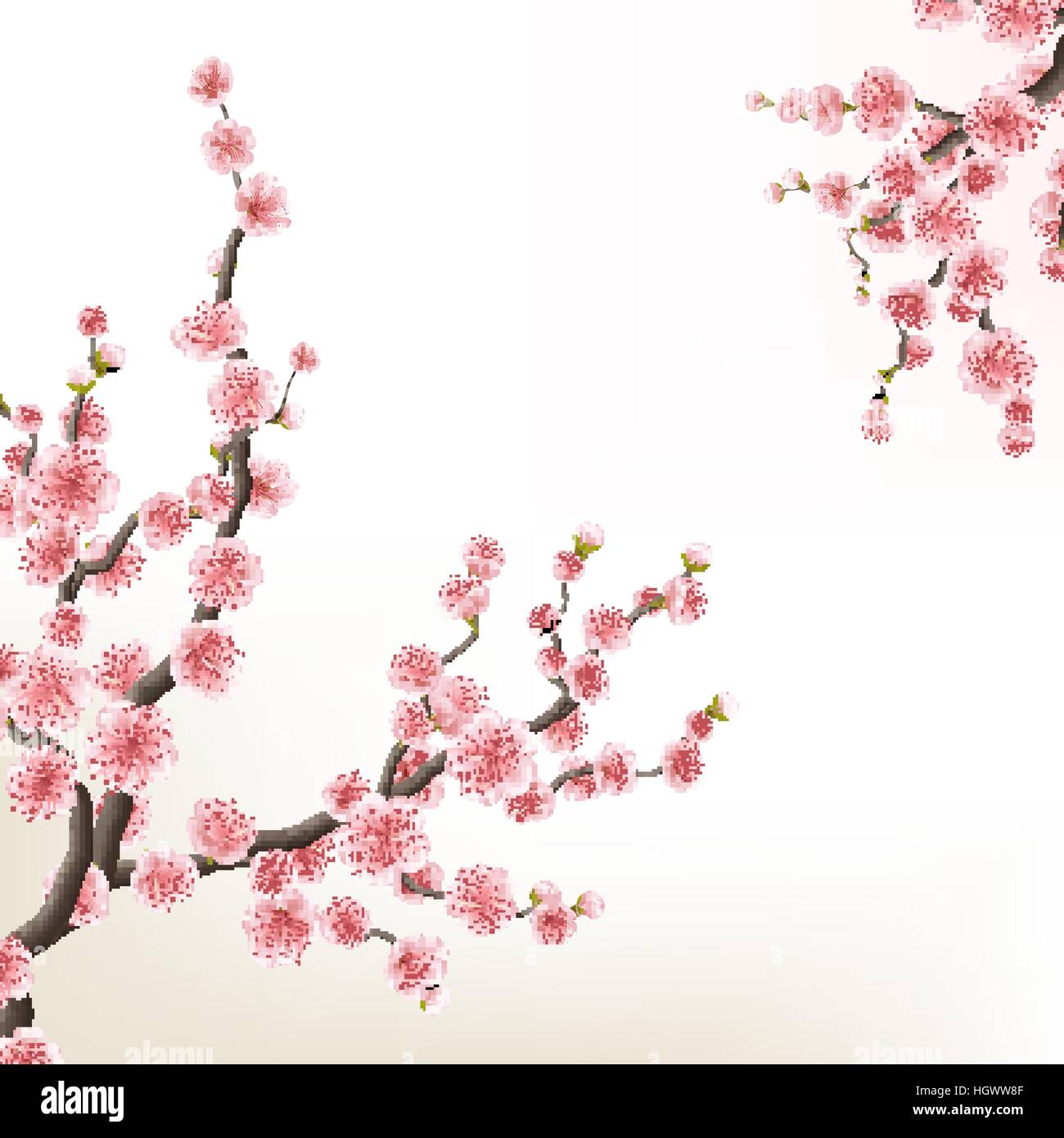 Sakura blooming tree natural Stock Vector Images - Alamy