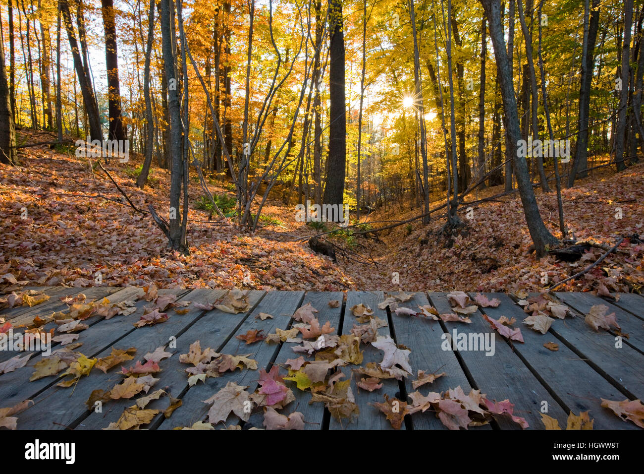 A footbridge over a stream near the Presumpscot River in Portland ...