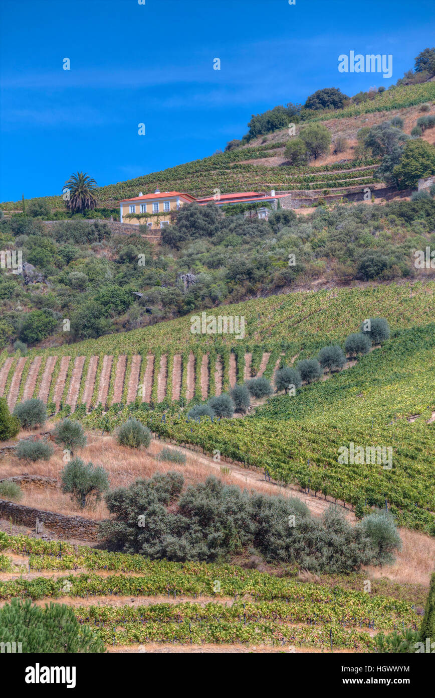 Wine heritage hi-res stock photography and images - Alamy