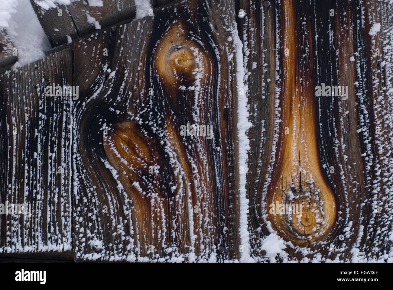 Old wood and frigid, icy weather create the appearance of fire and ice ...
