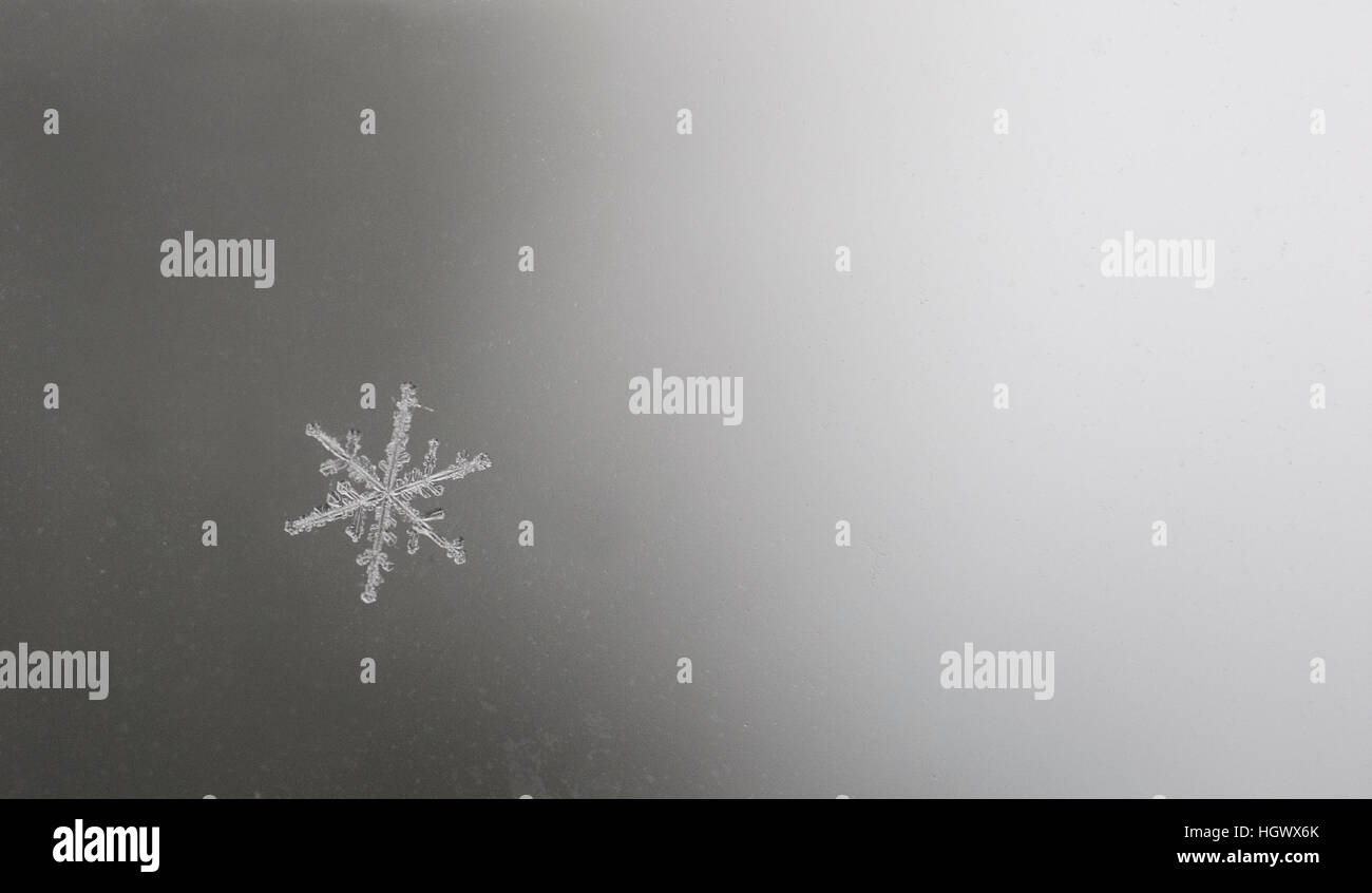 A single snowflake Stock Photo - Alamy