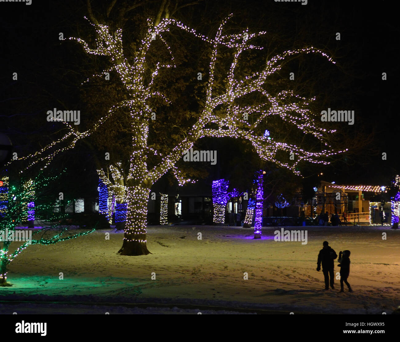Couple enjoys holiday lights at Boulder's Civic Area by Downtown Stock ...