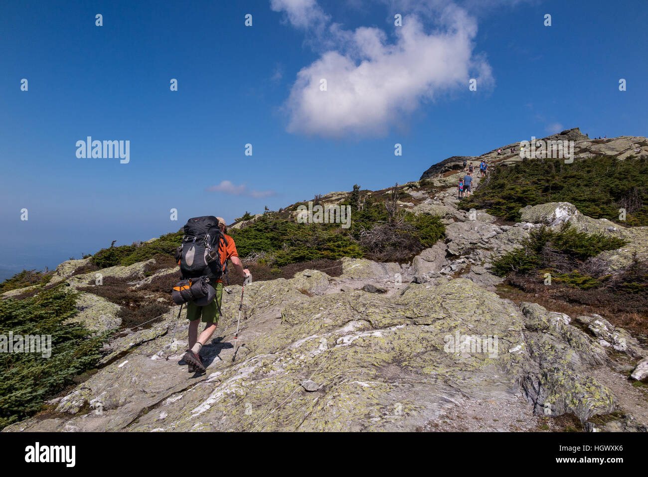 Adult male hiker, wearing a backpack and using trekking poles, walking ...