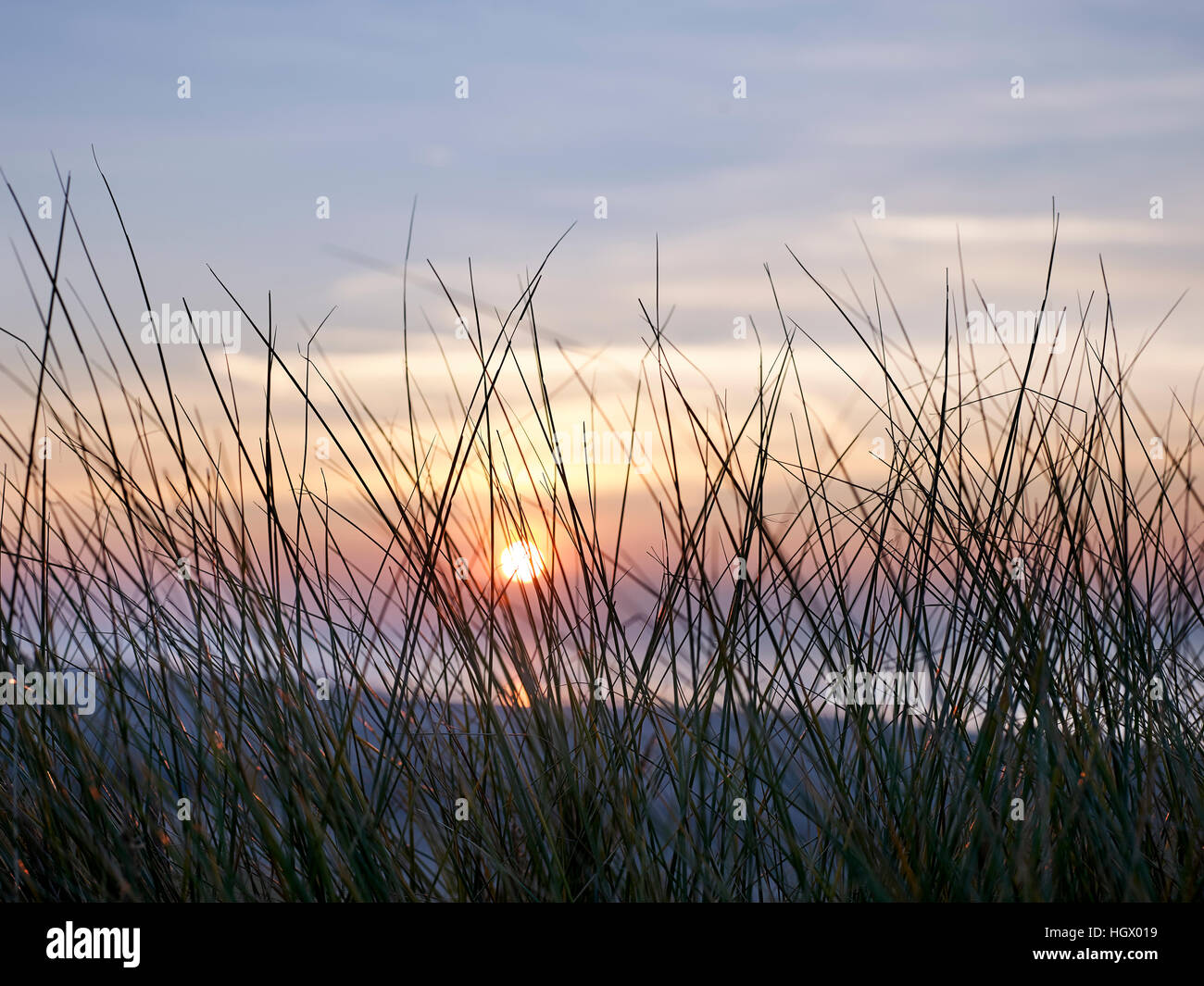 View at beach during sunset, Westduinpark. The Hague, Netherlands Stock ...