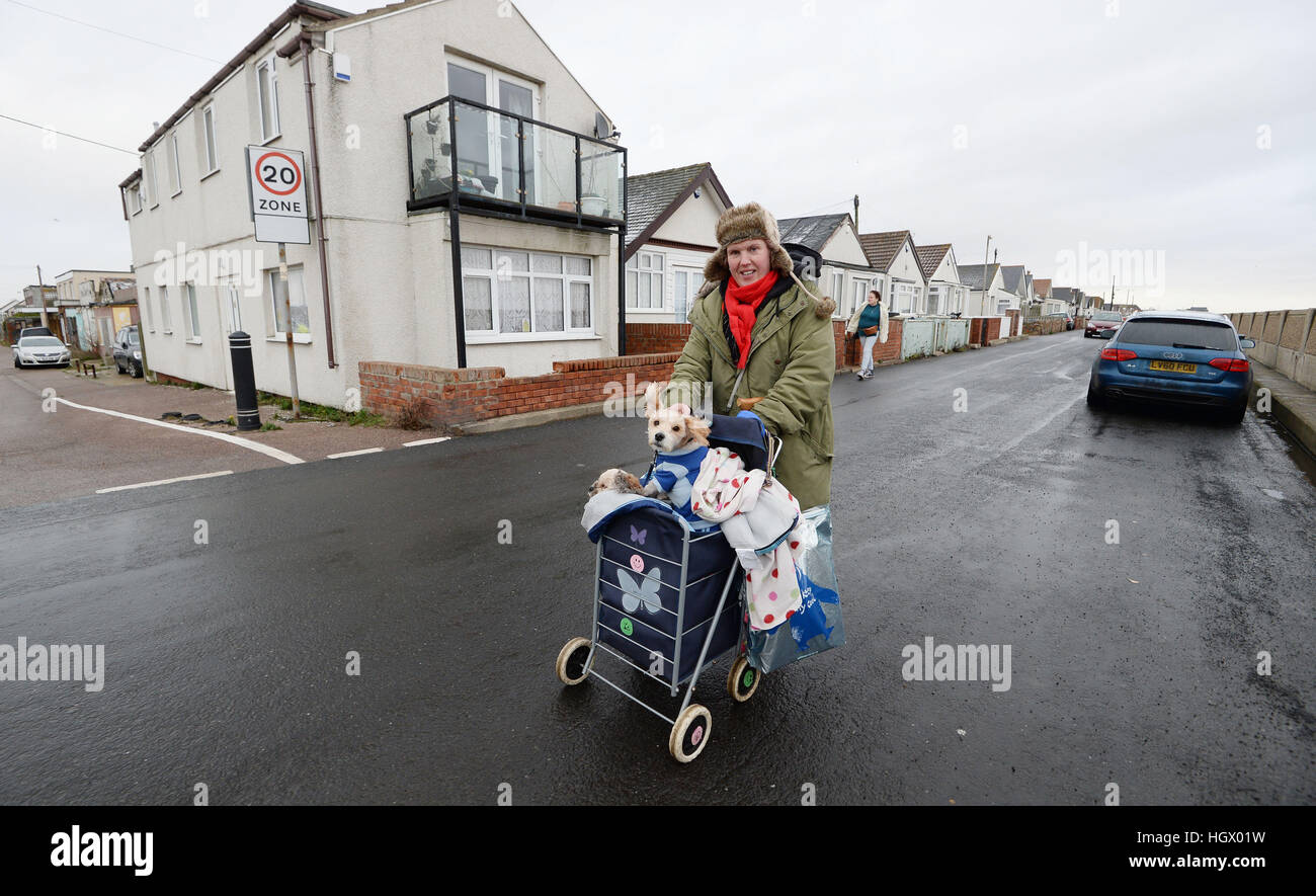 Resident Michelle Hudson and her dogs Alfie and Henry walk along ...
