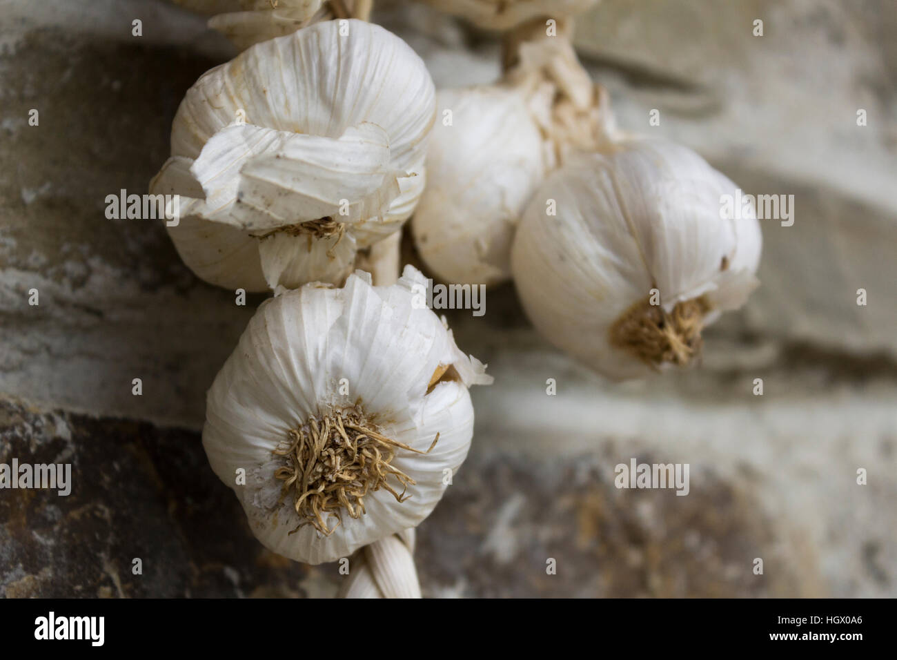 Bunch of organic garlic hanging on wall in bulgarian village close up ...