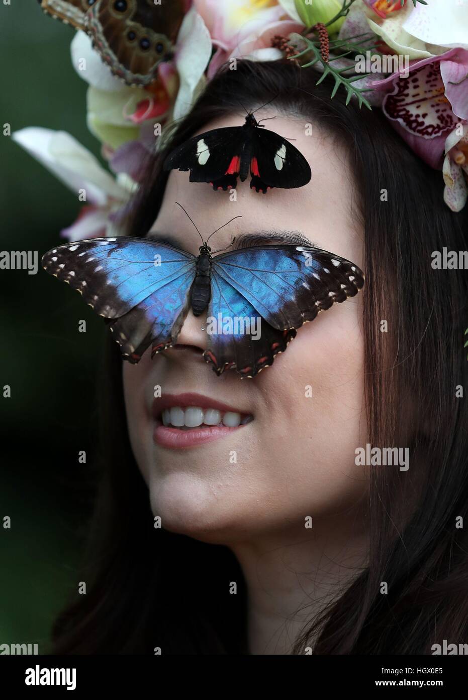 Model jessie may smart hi-res stock photography and images - Alamy