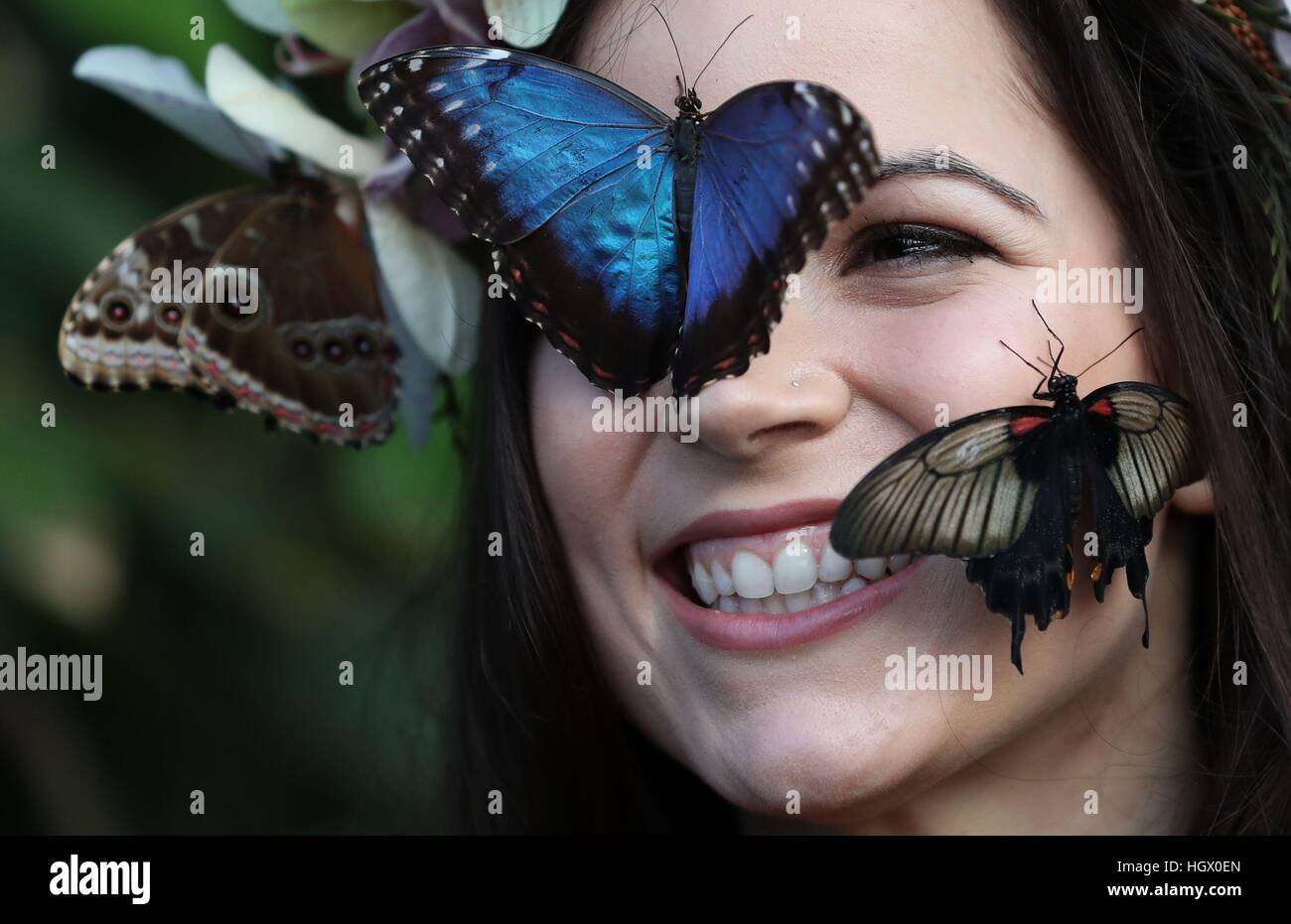 Model Jessie May Smart with Blue Morpho and a great Yellow Morman ...