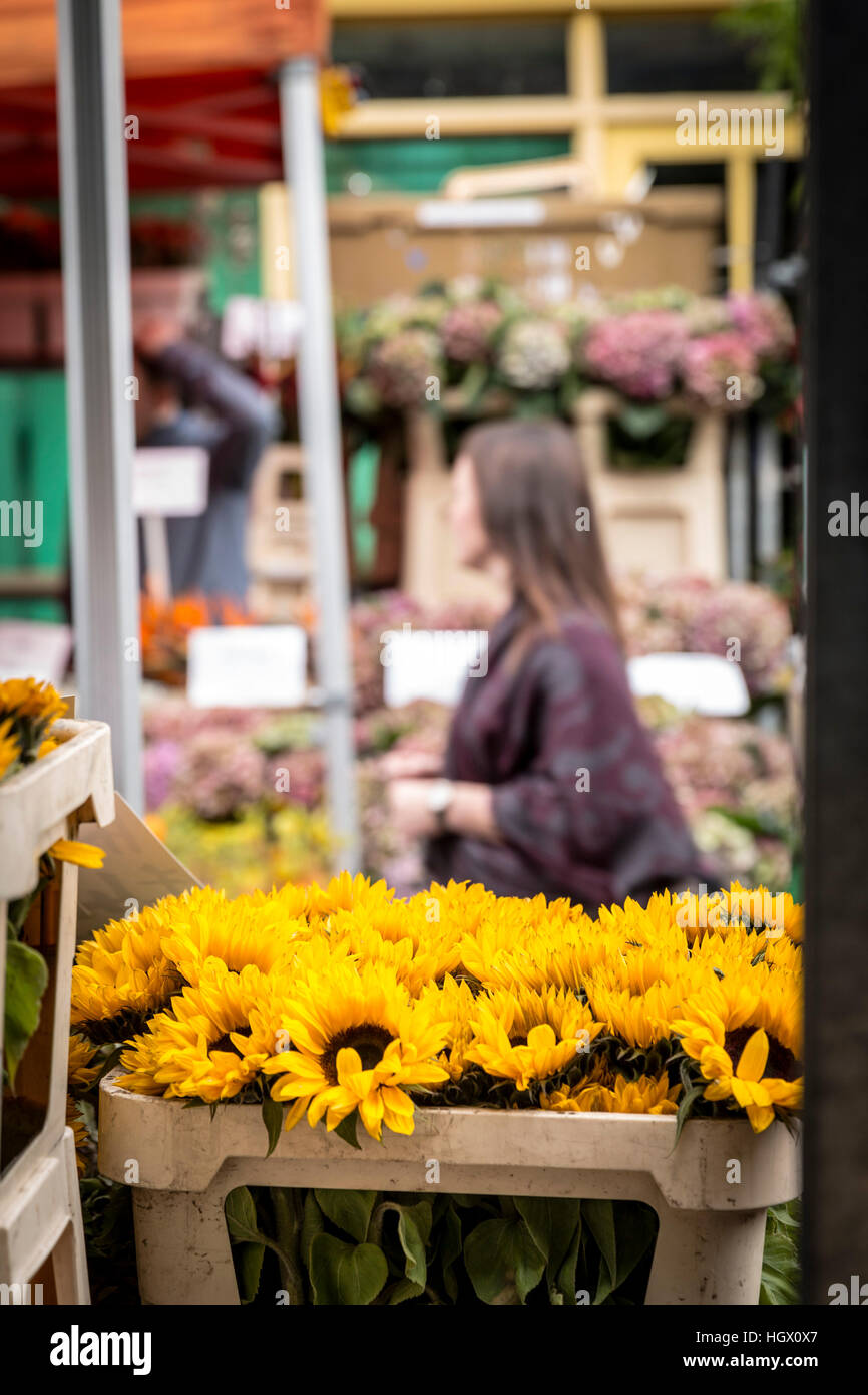 Columbia Road Flower Market High Resolution Stock Photography and ...