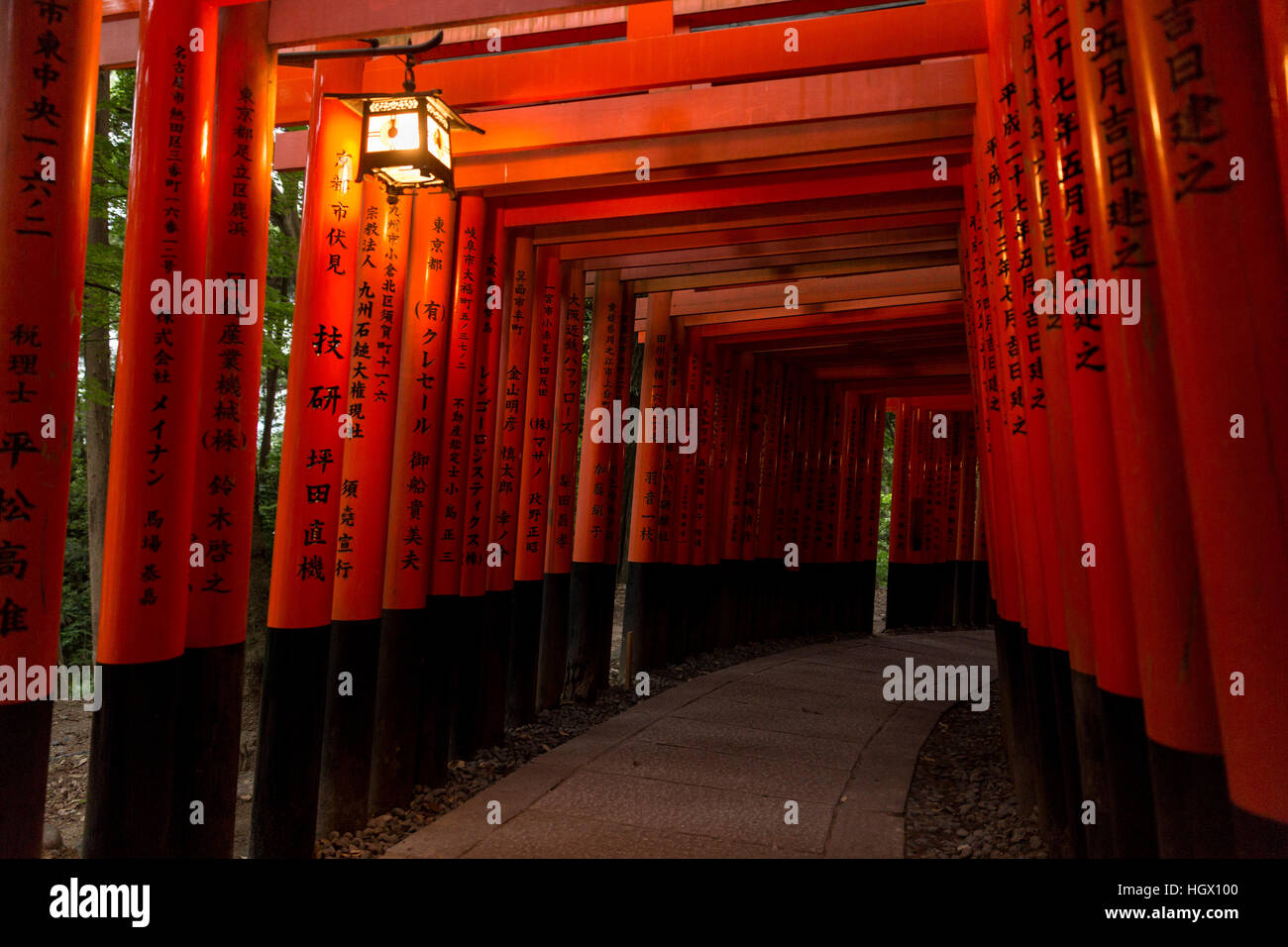 Lantern illuminating the names engraved on the torii of Fushimi Inari ...