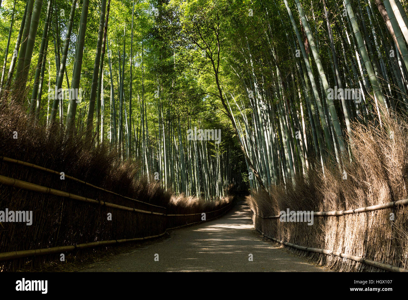 Arashiyama bamboo groove hi-res stock photography and images - Alamy