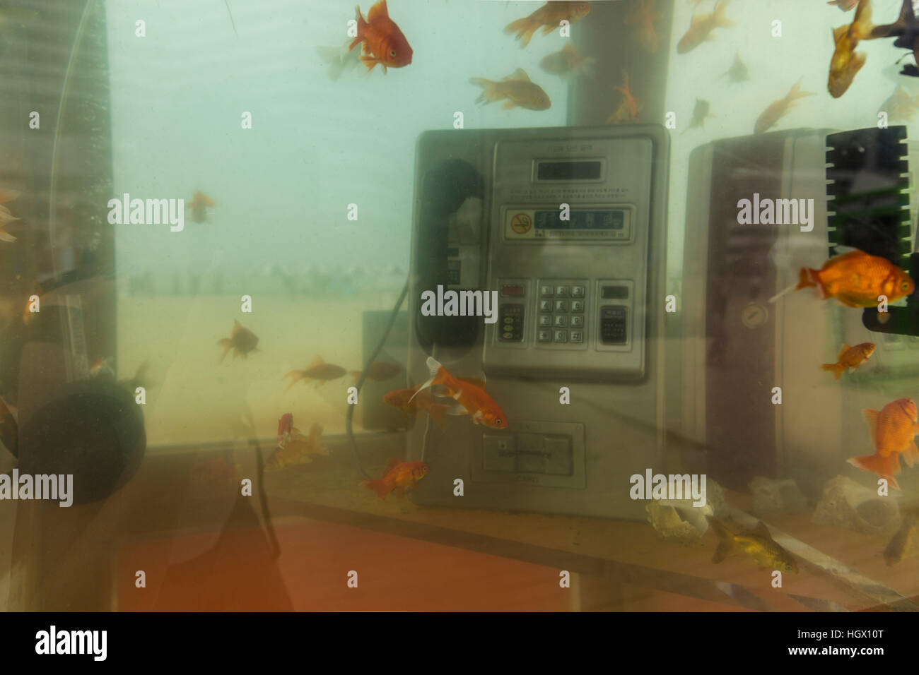 Detail of telephone box converted into a fish tank in Haeundae Beach ...