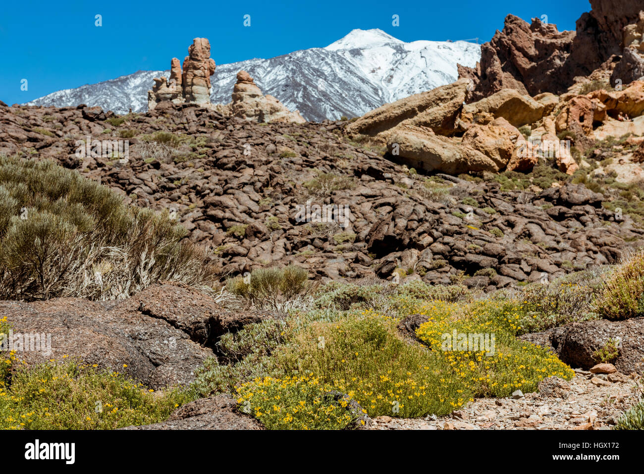 Rock on volcanic landscape, Teide Tenerife island Stock Photo - Alamy