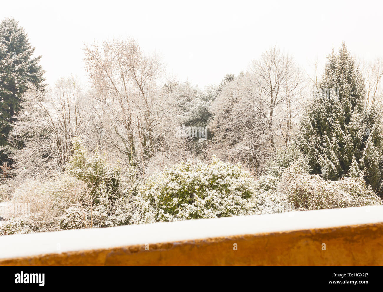 Trees nature balcony hi-res stock photography and images - Alamy