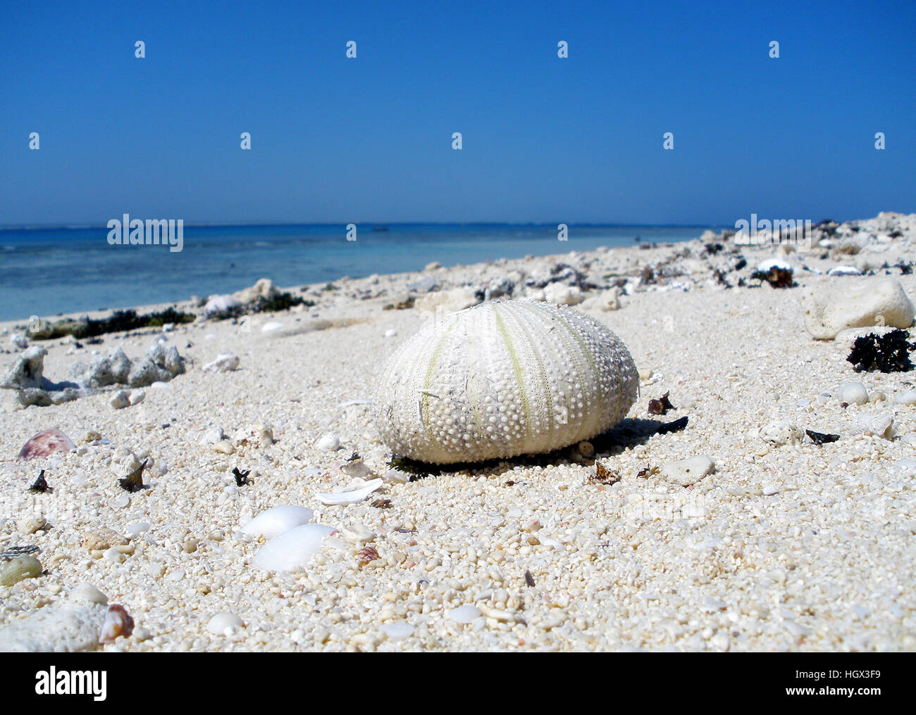 Nosy Ve High Resolution Stock Photography and Images - Alamy