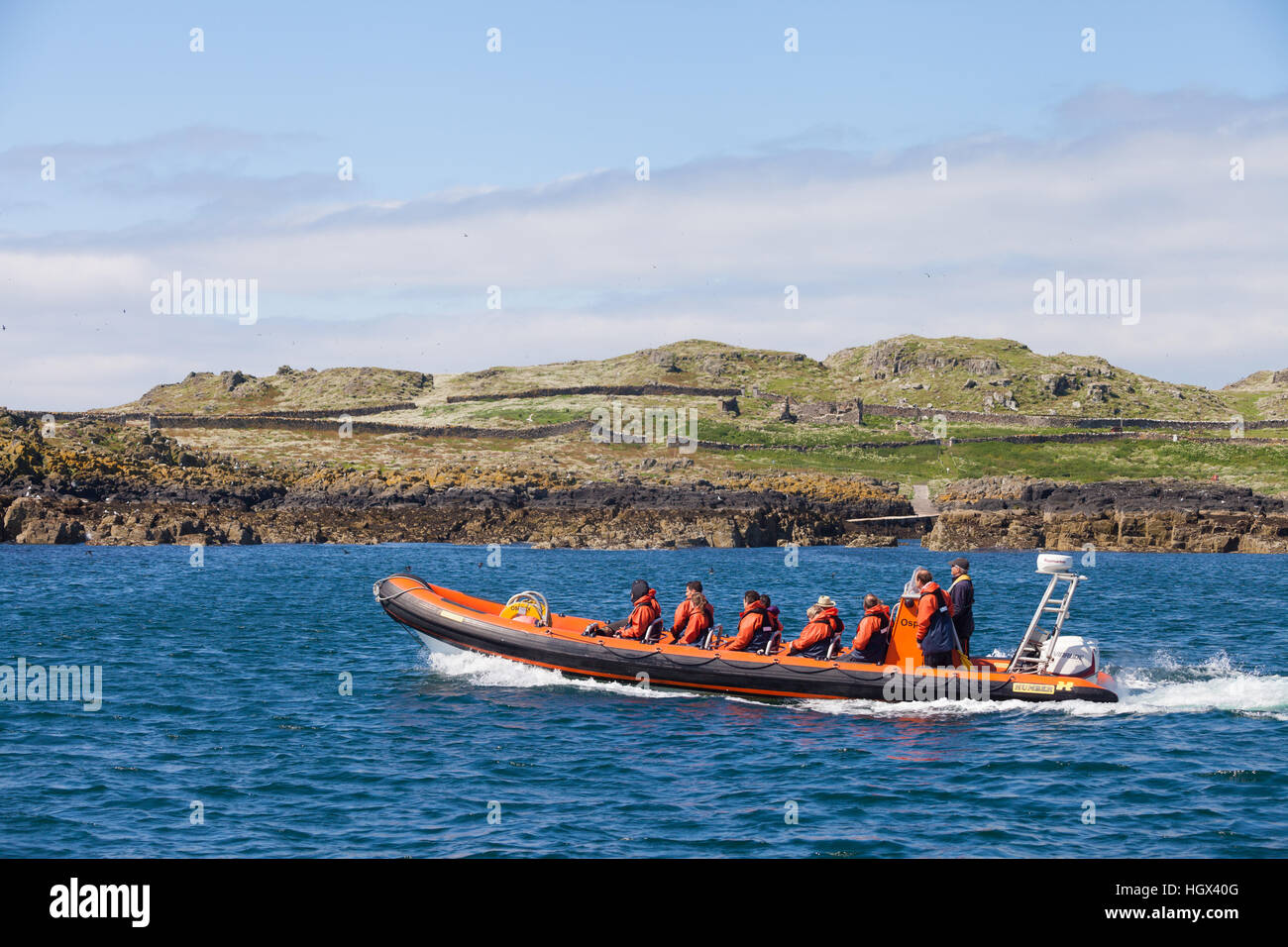 Rib speed boat arriving at The Isle of May in the Firth of Forth Stock ...