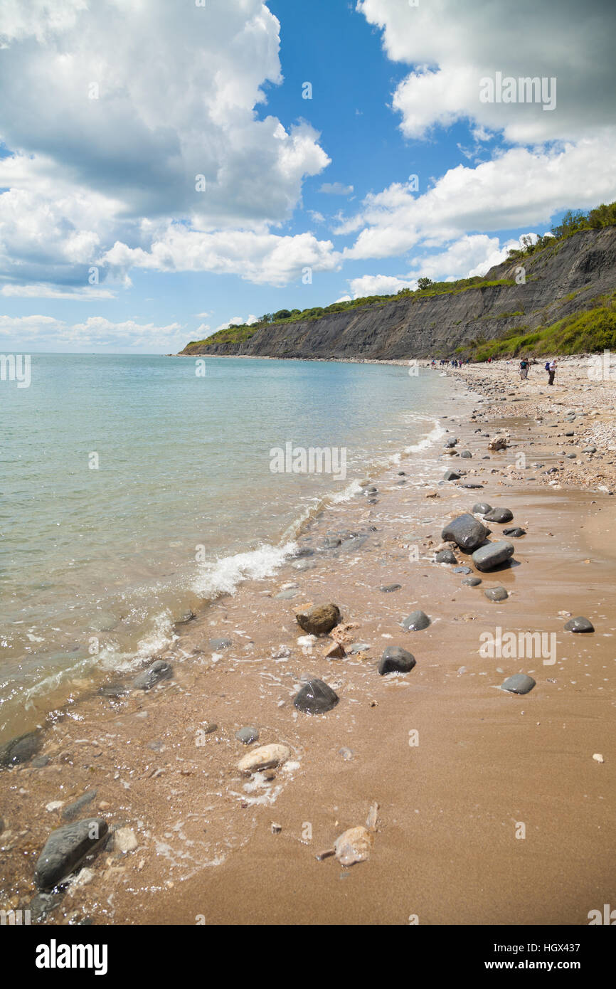 Lyme Regis Beach with Cliffs in the background Stock Photo - Alamy