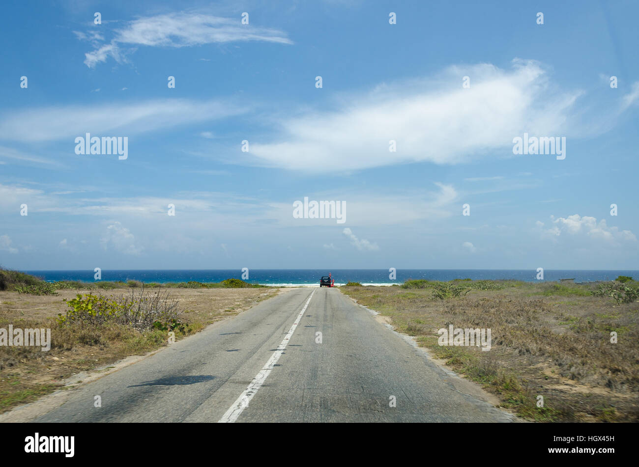 Native plants aruba hi-res stock photography and images - Alamy