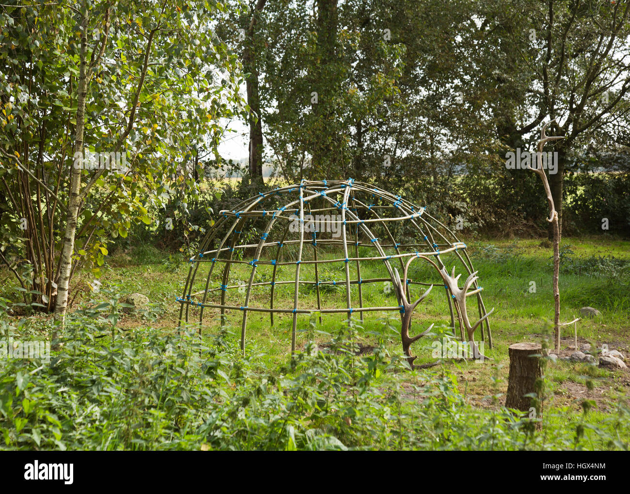 Frame of sweat lodge structure used for shamanic cleansing rituals ...