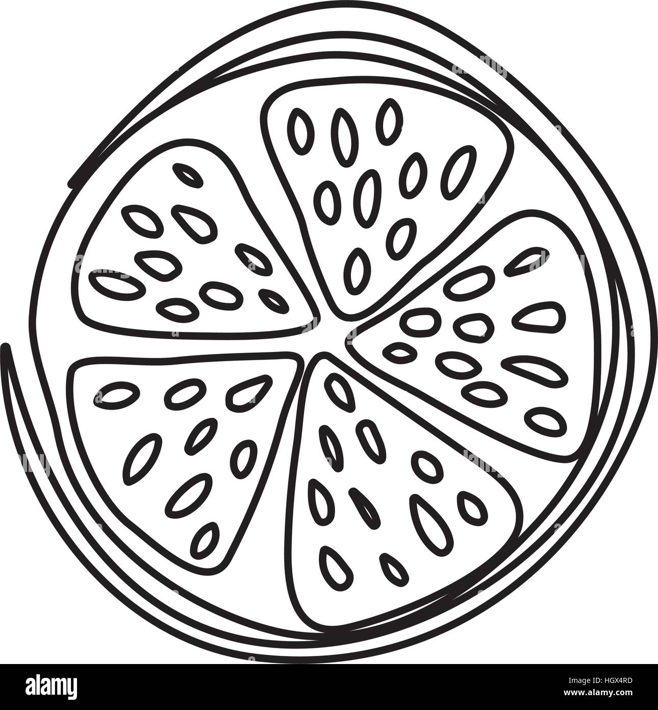 Lemon citric fruit icon vector illustration graphic design Stock Vector ...