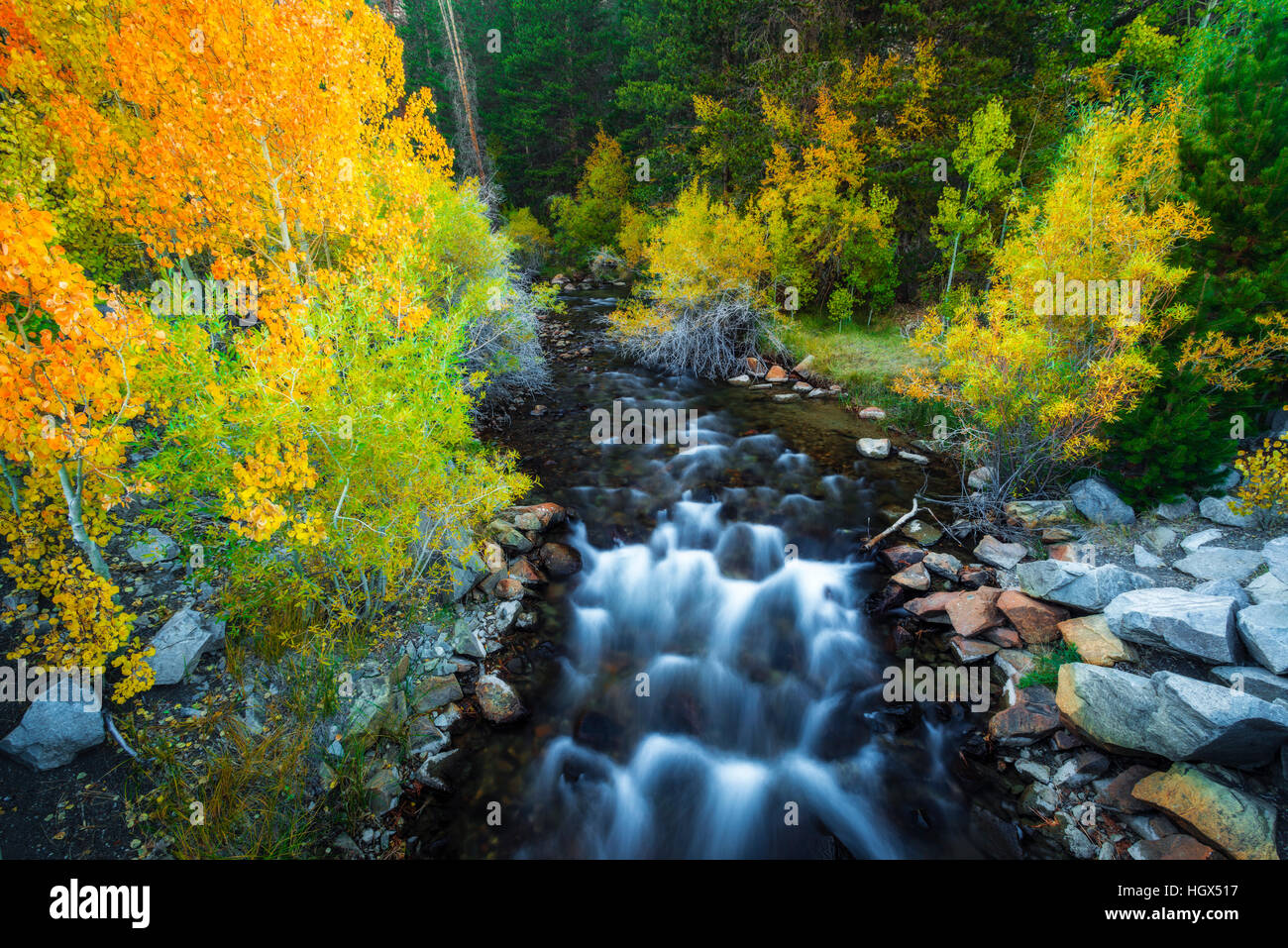 Fall color along Bishop Creek, Inyo National Forest, Sierra Nevada ...