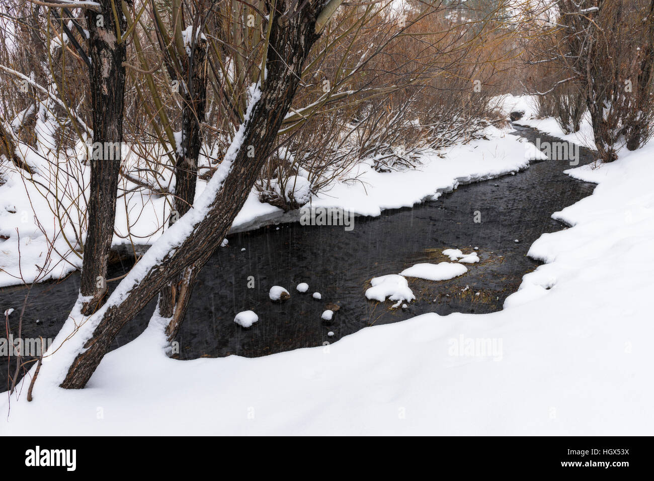 Snow Creek, Inyo National Forest, California USA Stock Photo - Alamy