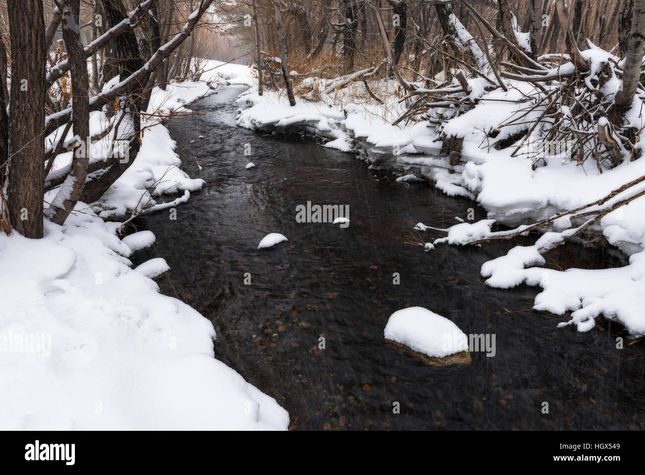 Snow Creek, Inyo National Forest, California USA Stock Photo - Alamy