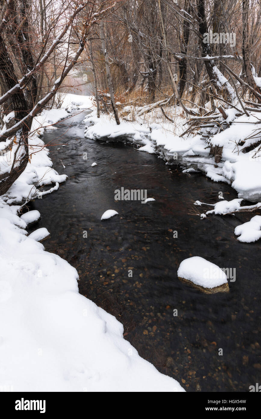 Snow Creek, Inyo National Forest, California USA Stock Photo - Alamy