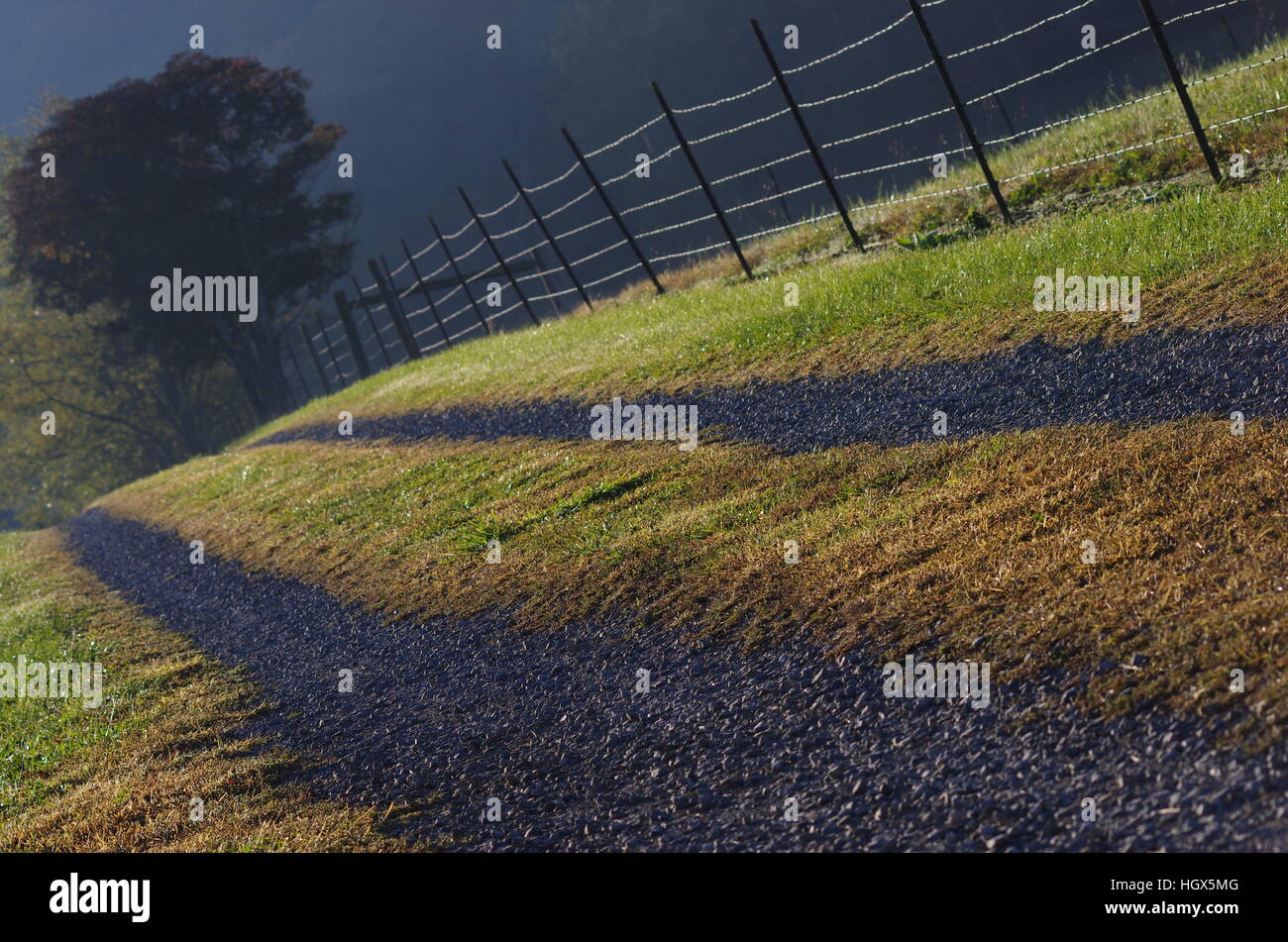 Driveway fence tree hi-res stock photography and images - Alamy