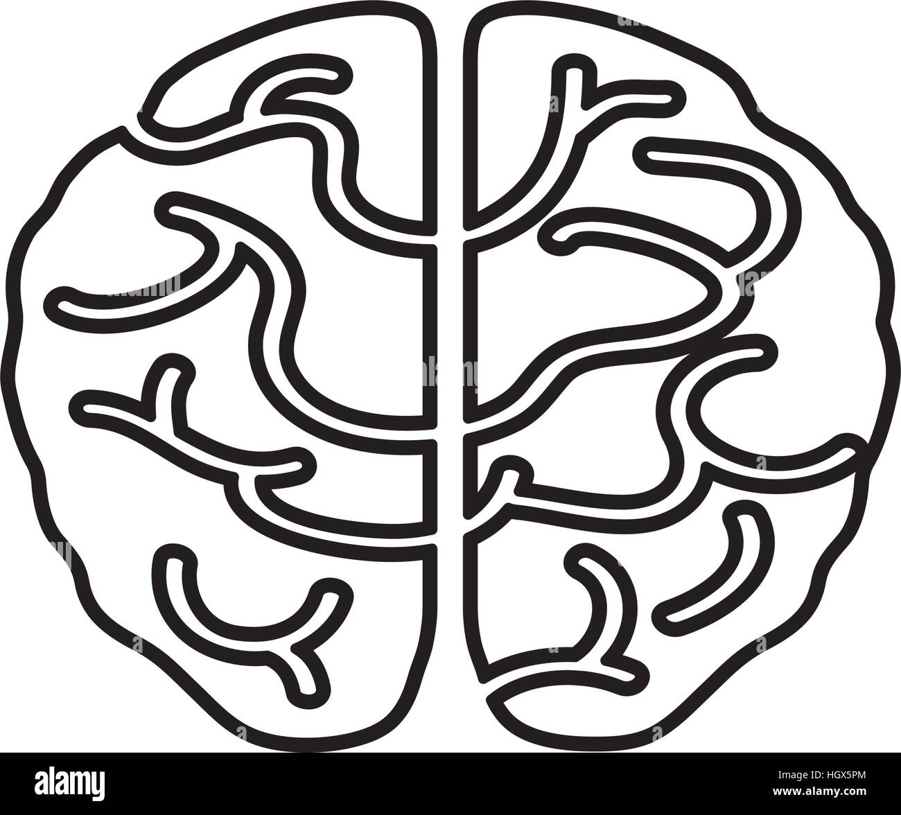Isolated human brain Stock Vector Image & Art - Alamy